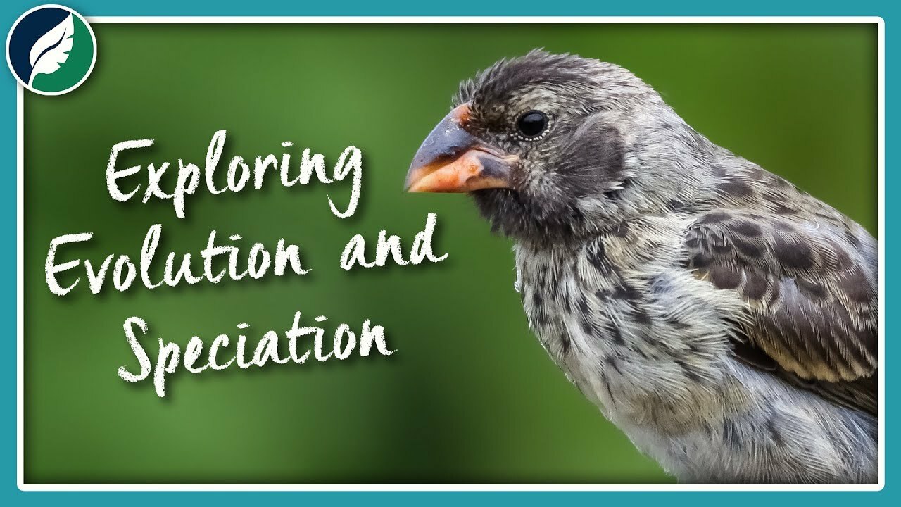 Exploring Evolution and Speciation | Compilation | Science Exploring Evolution and Speciation | Compilation | Science
